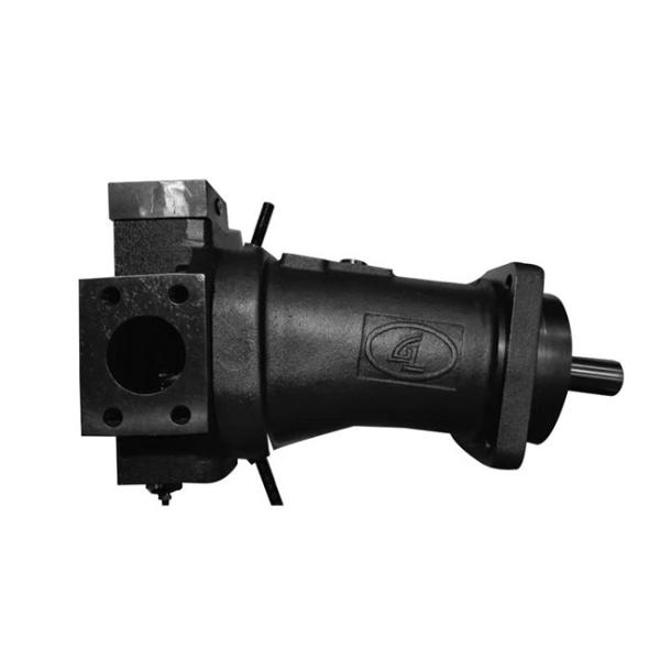 Quality High Quality Rexroth A6V28 A6V55 A6V80 Variable Hydraulic Motor for sale