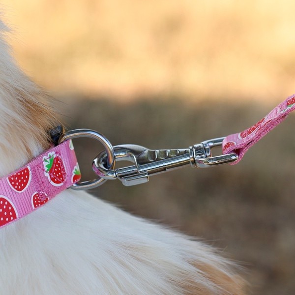 Quality OEM training dog leash Silk Screen Pattern dog training lead for sale