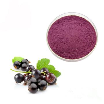 Quality Concentrated Juice Black Currant 10% Anthocyanin Extract Powder for sale