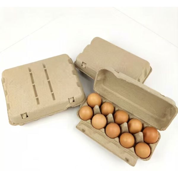 Quality Paper Pulp Tray: Eco-Friendly and Reliable Packaging Solution for sale
