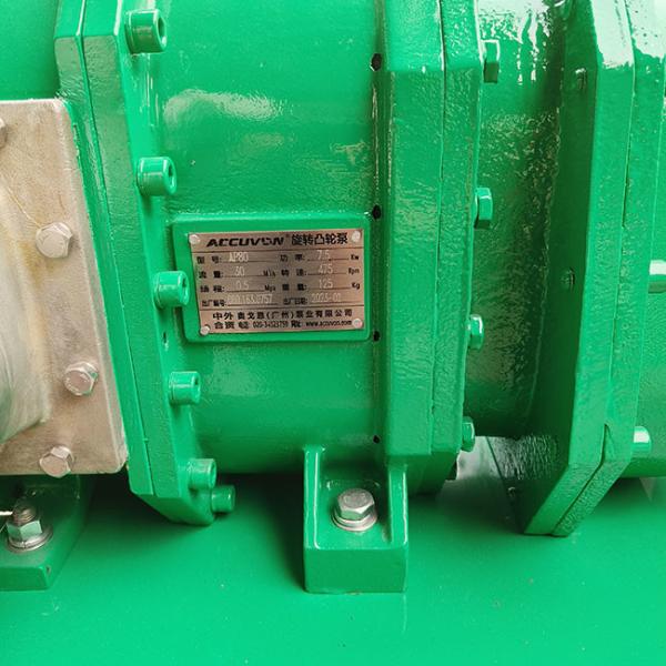 Quality Replace BOERGER PL100 Rotary Lobe Pump Wastewater Treatment for sale