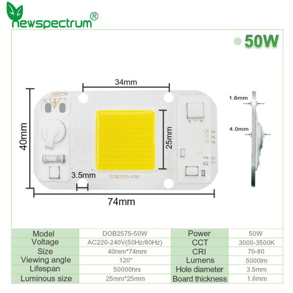 Quality 4000K LED COB Chip for sale