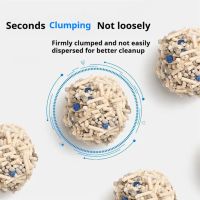 Quality Deodorizing Tofu Bentonite Mixed Cat Litter Custom Logo Fast Absorption for sale