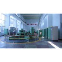Quality Vertical Hydro Turbine Generator with 350 KW Power Output and 15 m Water Head for sale