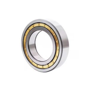 Quality Manufacturer Auto Bearings NJ2211E Cylindrical Roller Bearing for sale