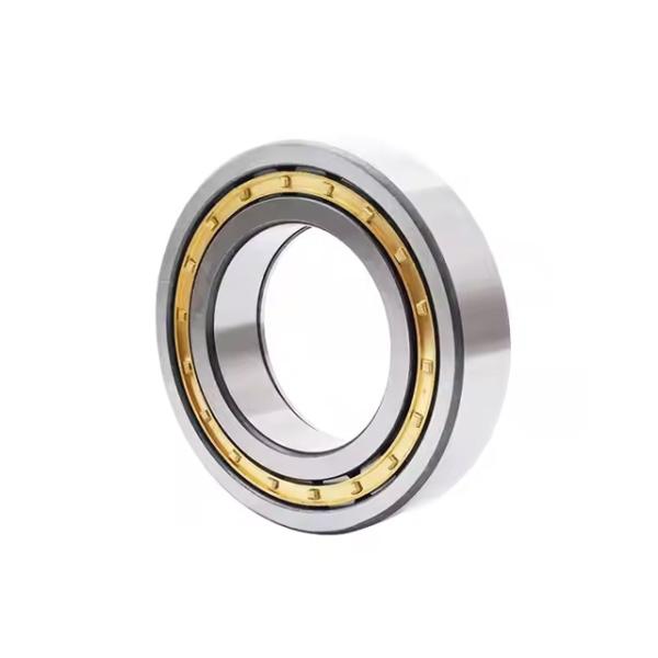 Quality Manufacturer Auto Bearings NJ2211E Cylindrical Roller Bearing for sale