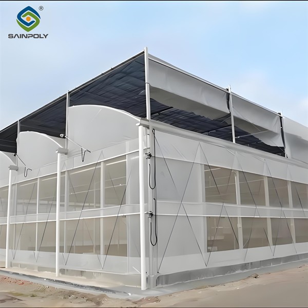 Quality 4m Height Steel Structure Greenhouse Gothic Type Easy Installation for sale