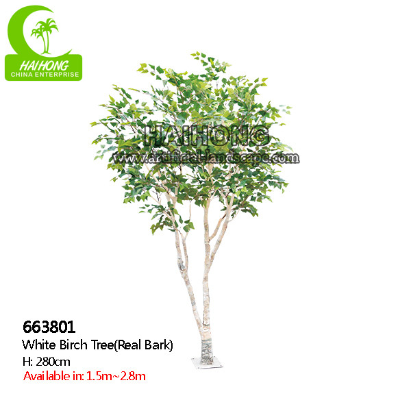 Quality Durable No Nursing Artificial Landscape Trees , Artificial Indoor Birch Tree 280cm for sale