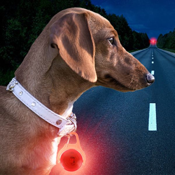 Quality White Blue Green Silicone Flashing Dog Collar Tag Floral Dog Identity Tags for sale