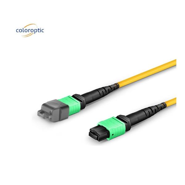 Quality Single Mode MPO Optical Cable OM3 Fiber Grade With PVC Jacket for sale