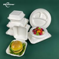 Quality Biodegradable Burger Lunch Box 3 Compartment Takeaway Bagasse Pulp Food for sale