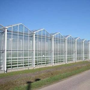 Quality Stability Venlo Type Greenhouse / High Standard Venlo Glasshouse Good Appearance for sale