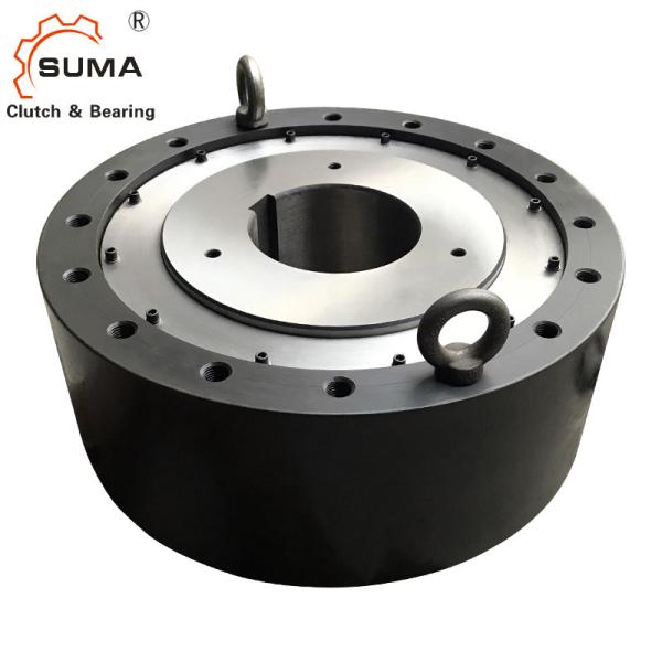 Quality BS110 Belt Conveyor Overrunning Clutch Bearing 250RPM for sale