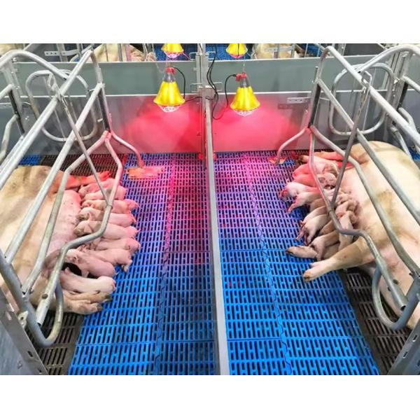 Quality High Strength Easy To Clean And Maintain GRP Floor Grating FRP Molded Pig Chicken Sheep Floor Grating for sale