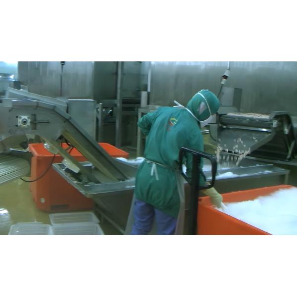 Quality ISO 2.23KW Commercial Fish Processing Machine , Anti Corrosion Shrimp Cooked for sale