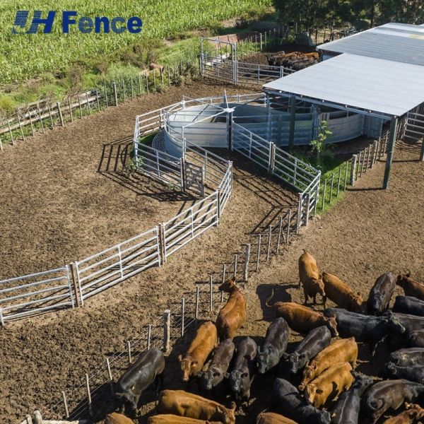 Quality Heavy-Duty Cattle Panel System: Fully Welded & Galvanized for Unbreakable Livestock Containment & Security for sale