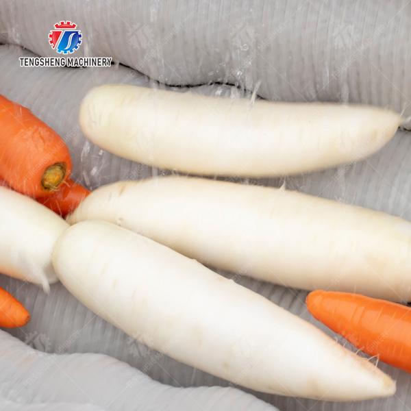 Quality Enhance Your Production with Our State-of-the-Art Fruit And Vegetable Processing for sale