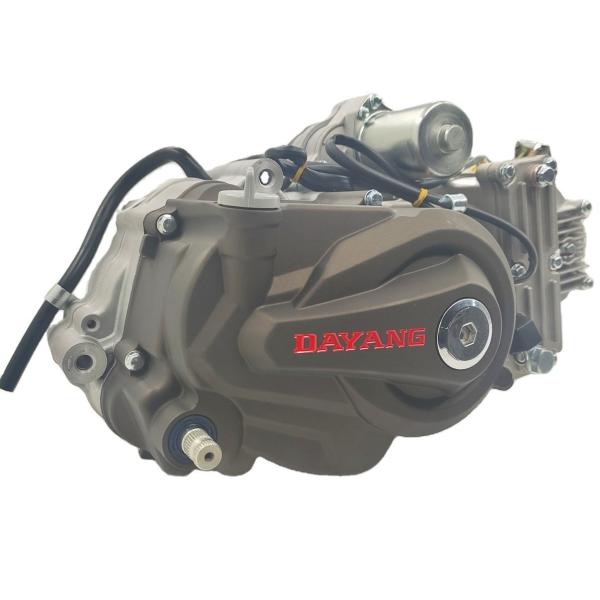 Quality 140cc DAYANG Cool Nature Engine Motorcycle Single Cylinder 4 Stroke CDI Ignition for sale