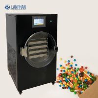 Quality Mini Home Vacuum Freeze Dryer Fruit Vegetable Lyophilizer 15pa for sale