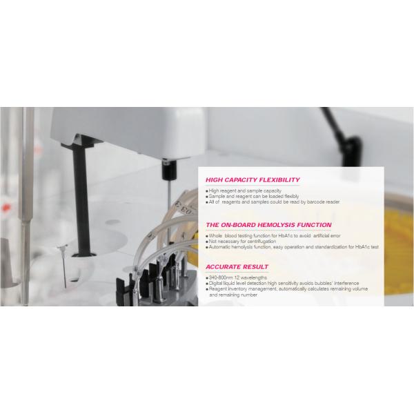 Quality 240T/H Blood Chemistry Analyzer for sale