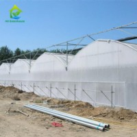 Quality OEM Agricultural PC Sheet Greenhouse for sale