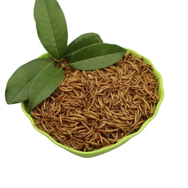 Quality Wholesale High Quality Yellow Dried Mealworms,Dried Mealworm Powder for sale
