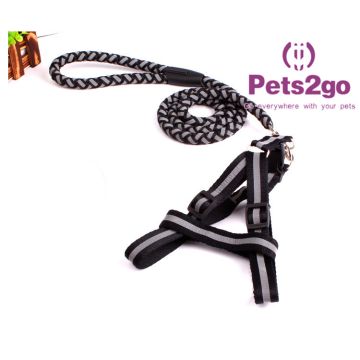 Quality Pet Training Dog Shock Collar Puppies Tools Basic Concepts Learning Curve for sale
