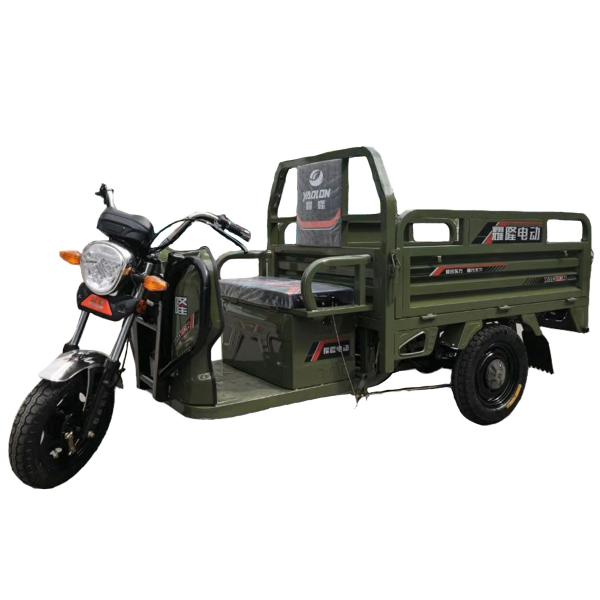 Quality Elder Pedal Assisted 3.1m*1m Electric Cargo Tricycle for sale
