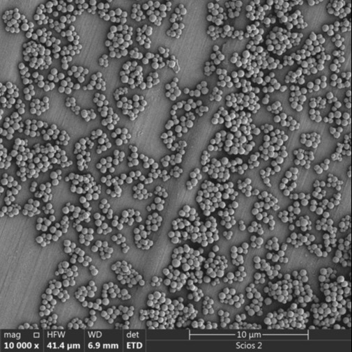 Quality 2.8μm Streptavidin Magnetic Beads For Chemiluminescence Cell Sorting for sale
