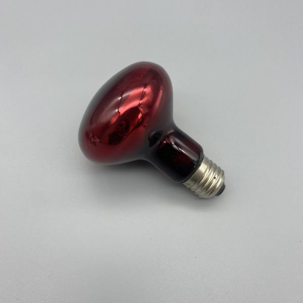 Quality Red Terrarium Heat Lamp Bulb R63 For Brooder 75 Watt Uvb Bulb for sale