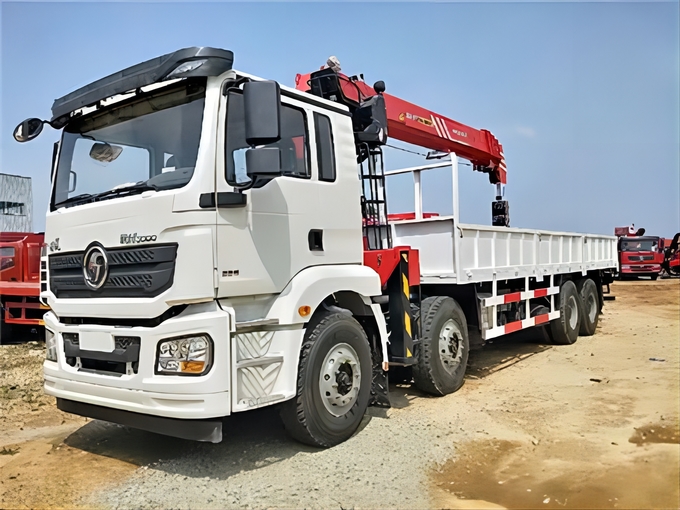SHACMAN H3000 Crane Truck 8x4 375 EuroV 0