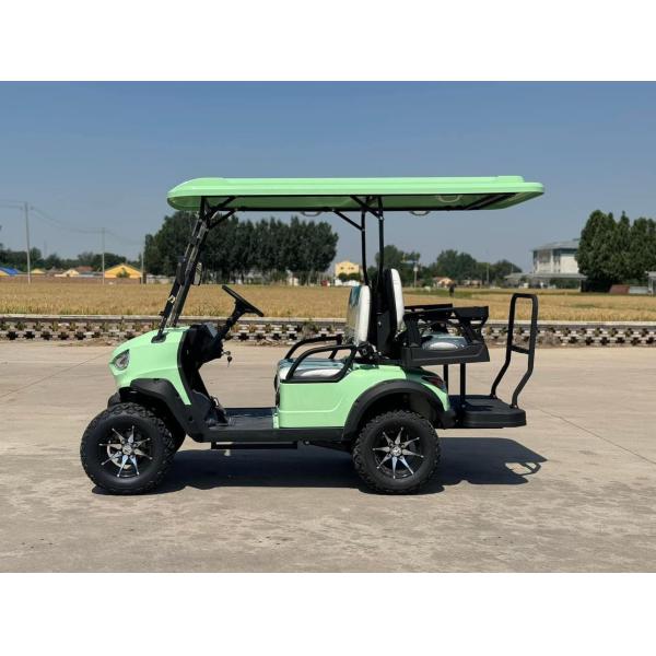 Quality Bx 2 2 Seat Sightseeing Bus Club Cart Custom Electric Golf Buggy Hunting Cart for sale