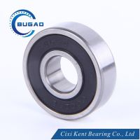 Quality 6007 ZZ/2RS Ball Bearings for Electrical Motor Noise Standard Zv1 Zv2 Zv3 for sale