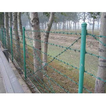 Quality Hot Dipped Galvanized Barbed Wire Price Per Roll for sale