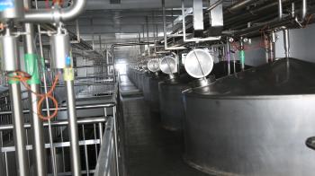 China Factory - Qingdao  Opal Industrial Co.,Ltd