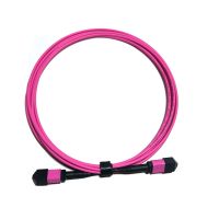 Quality 12F MPO PC MPO PC Fiber Optic Patch Cord for sale