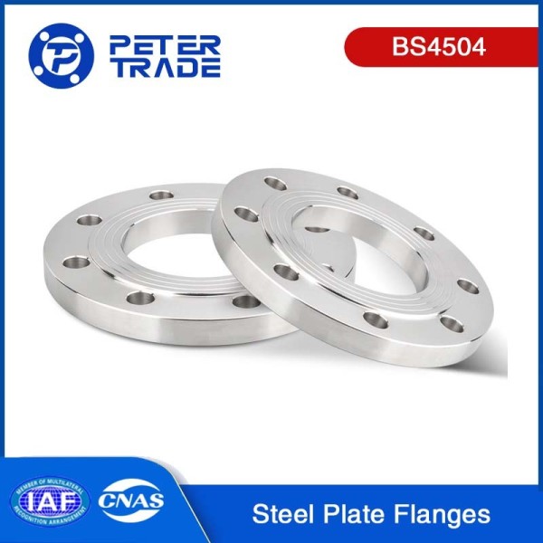 Quality BS4504 PN40 Carbon Steel Plate Flanges PL RF Raised Face DN10 - DN600 Code 101 for Heating and Power Industry for sale