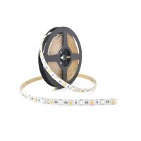 Quality Multi Colours Color Changing Led Ribbon Lights SMD 5050 RGB+W 60 LEDS CE Rohs Approval for sale