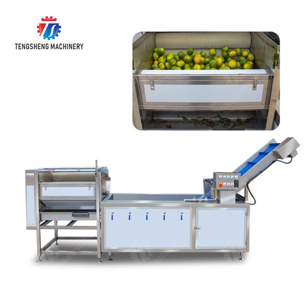 Quality Citrus cleaning production line Fruit Orange Wash Washer Washing Cleaning Dryer for sale