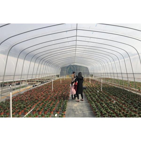 Quality UV Block Plastic Covering Greenhouse Galvanized Steel Frame Greenhouses For Commercial Agriculture for sale