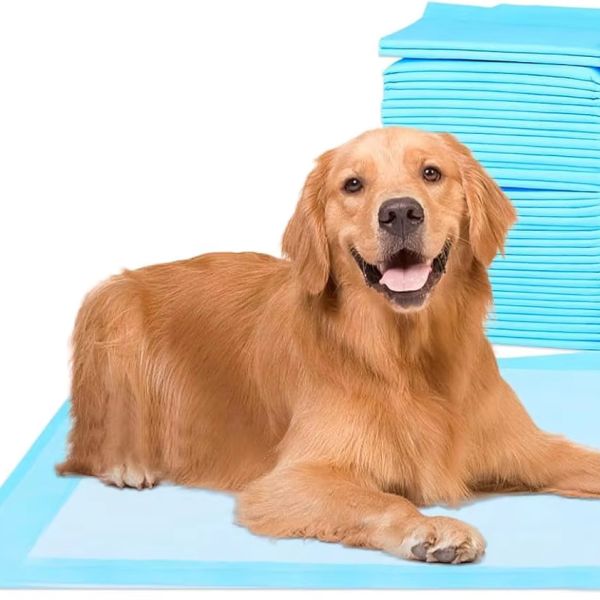 Quality Sustainable and Leak-Proof Disposable Dog Pee Pads Fast Drying Pee Mats for Everyday for sale