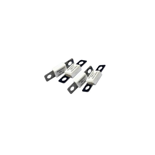 Quality Ceramic 100 Amp Auto Fuse , 58VDC Low Breaking Capacity Fuse for sale