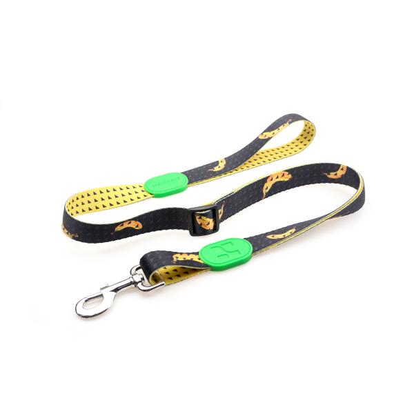 Quality Bicycle Adjustable Anti Pull Dog Leash 10 Meter Halti Dog Lead for sale