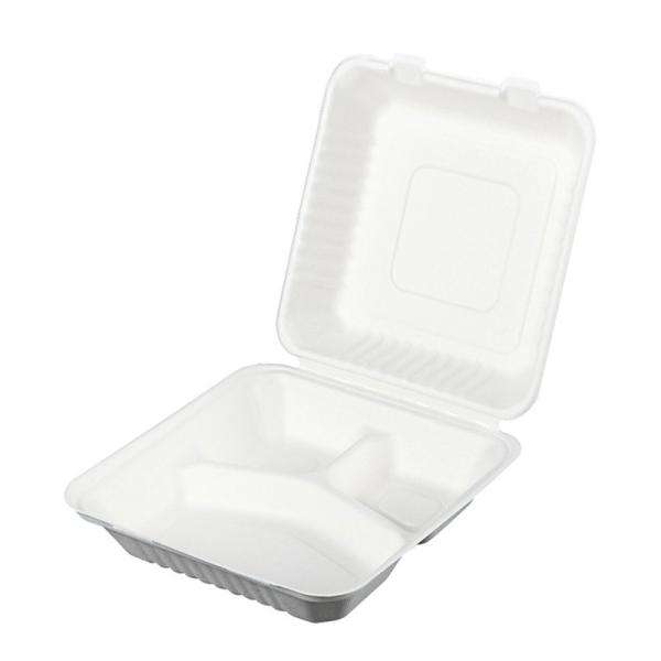 Quality 8in 9in Biodegradable Sugarcane Bagasse Clamshell Freezable Fast Food Container for sale