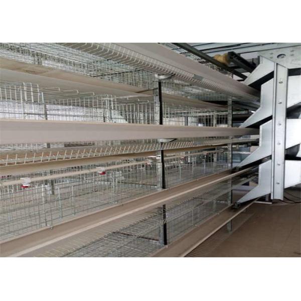 Quality 4 Tier Layer Cage For Layer Farming for sale