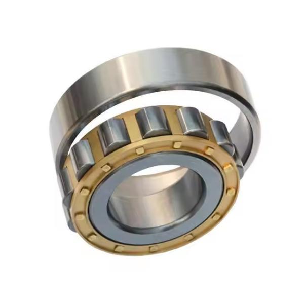 Quality Single Row Cylindrical Roller Bearings NJ2311E for Machinery Farm Industries Brass Oil for sale
