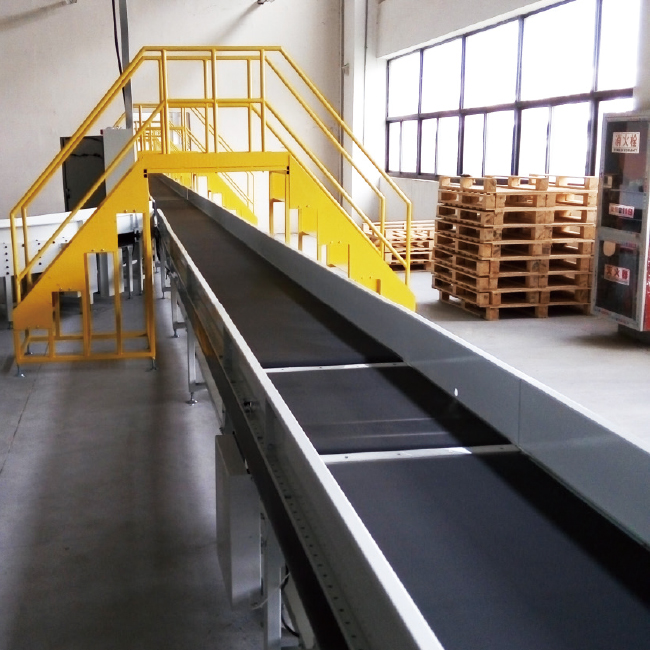 Box Conveyor & Sorting System 