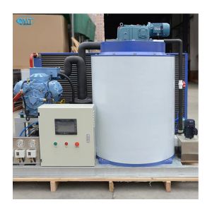 Quality Flake Ice Shape 5 Ton Per Day Commercial Ice Making Machine 5000kg High Capacity for sale