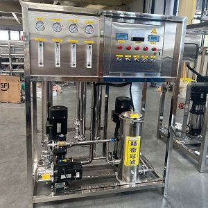 Quality 0.25T 40C Water Processing Machine 2TPH With Two Stage Reverse Osmosis Water for sale