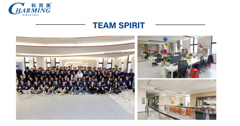 Our professional team and company spirit